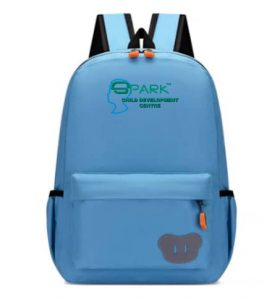 SPARK Bag - Spark CDC